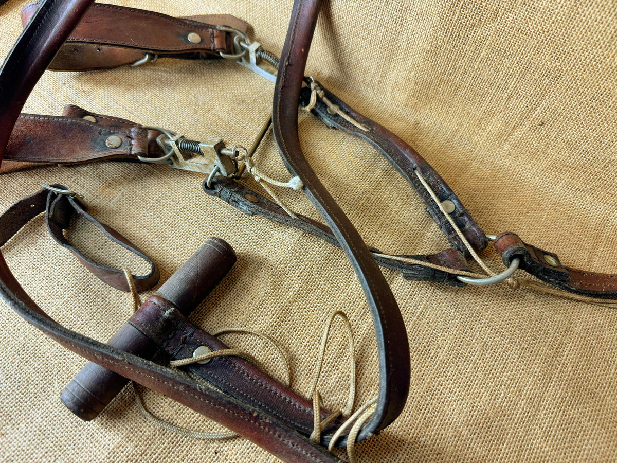Double Coursing Leather Quick Release Slip Lead – Poacher's Pocket Antiques