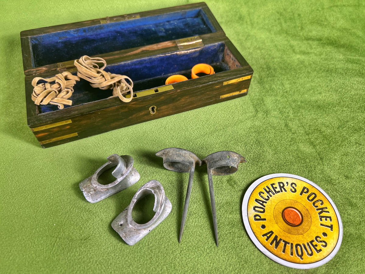 Cased Pair Cock Fighting Spurs or Gaffs for display – Poacher's Pocket ...